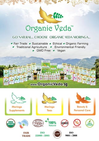 Moringa - E-brochure | PDF