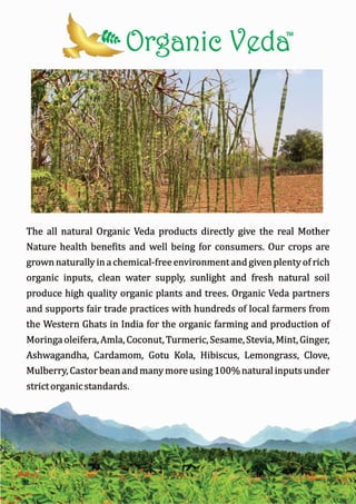 Moringa - E-brochure | PDF