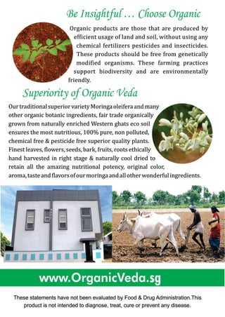 Moringa - E-brochure | PDF