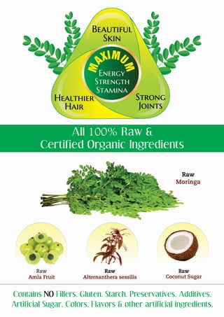 Moringa - E-brochure | PDF