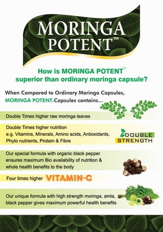 Moringa - E-brochure | PDF