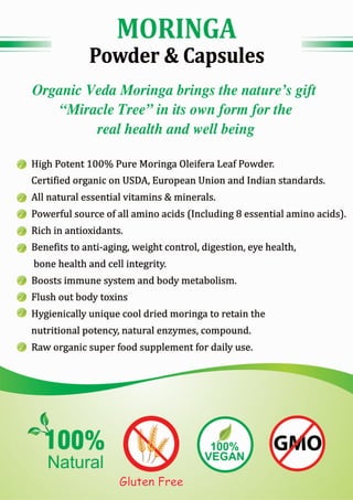 Moringa - E-brochure | PDF