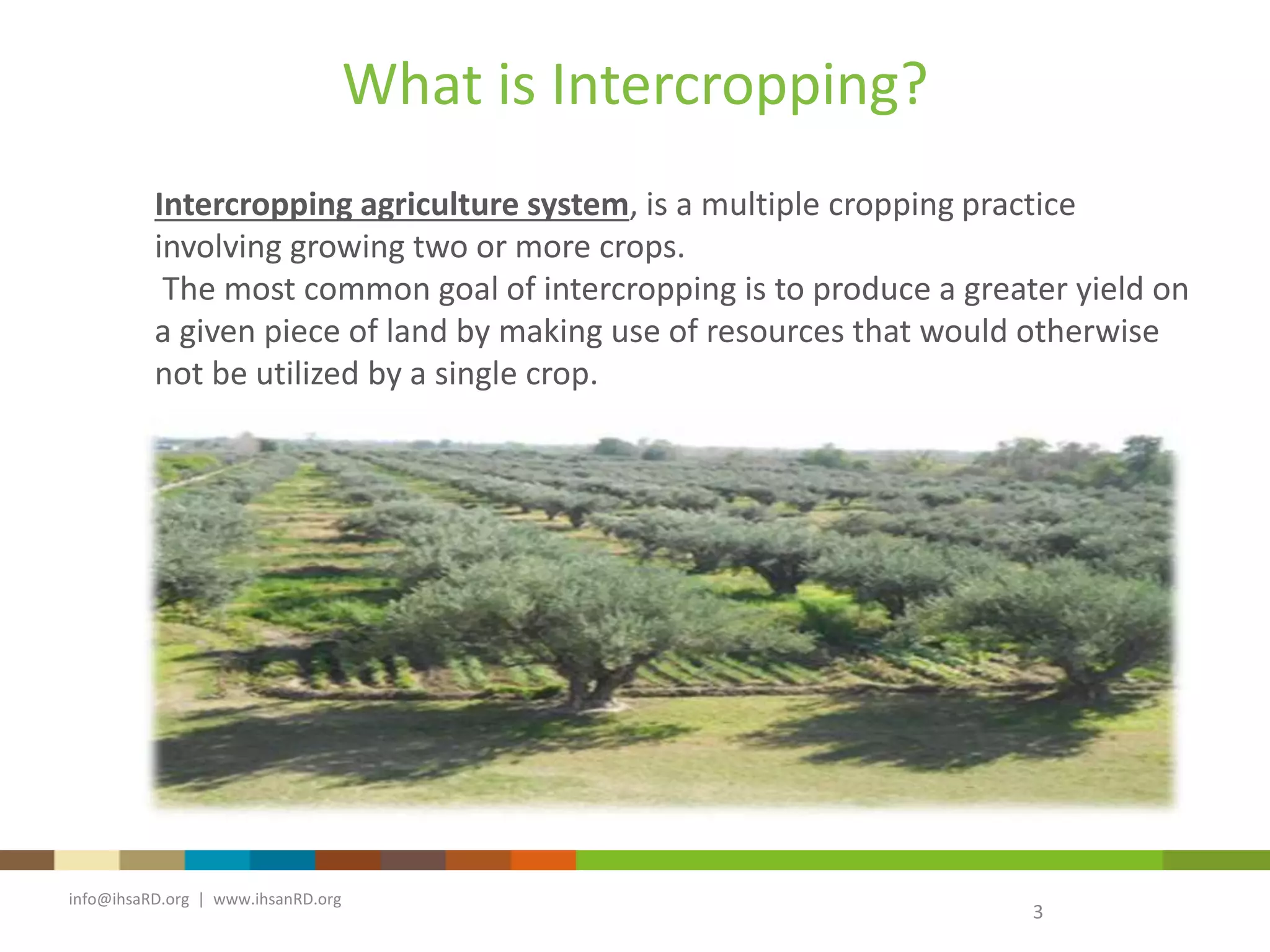Intercropping Farming | PPTX