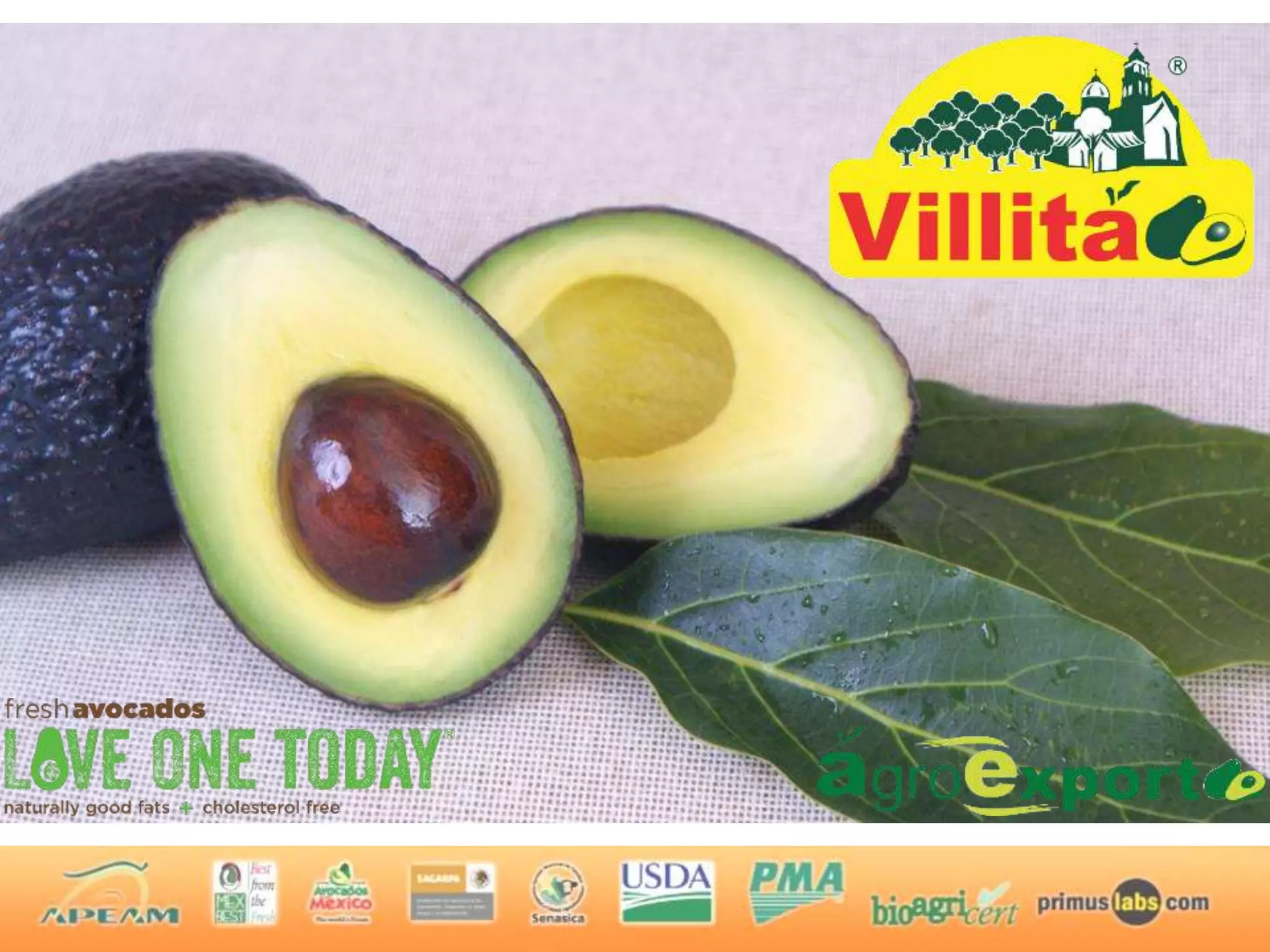 Villita Avocados - Agroexport LLC Profile | PPTX