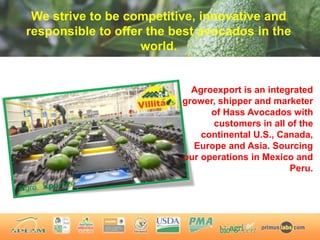 Villita Avocados - Agroexport LLC Profile | PPTX