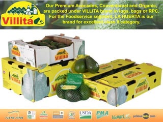 Villita Avocados - Agroexport LLC Profile | PPTX