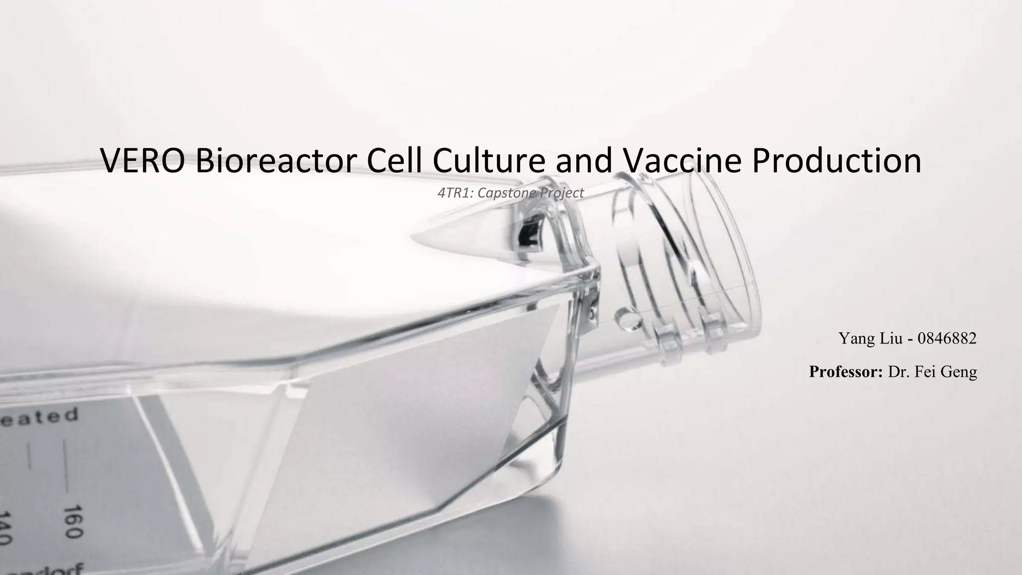 VERO Bioreactor Cell Culture and Vaccine Production 4TR1- Capstone ...