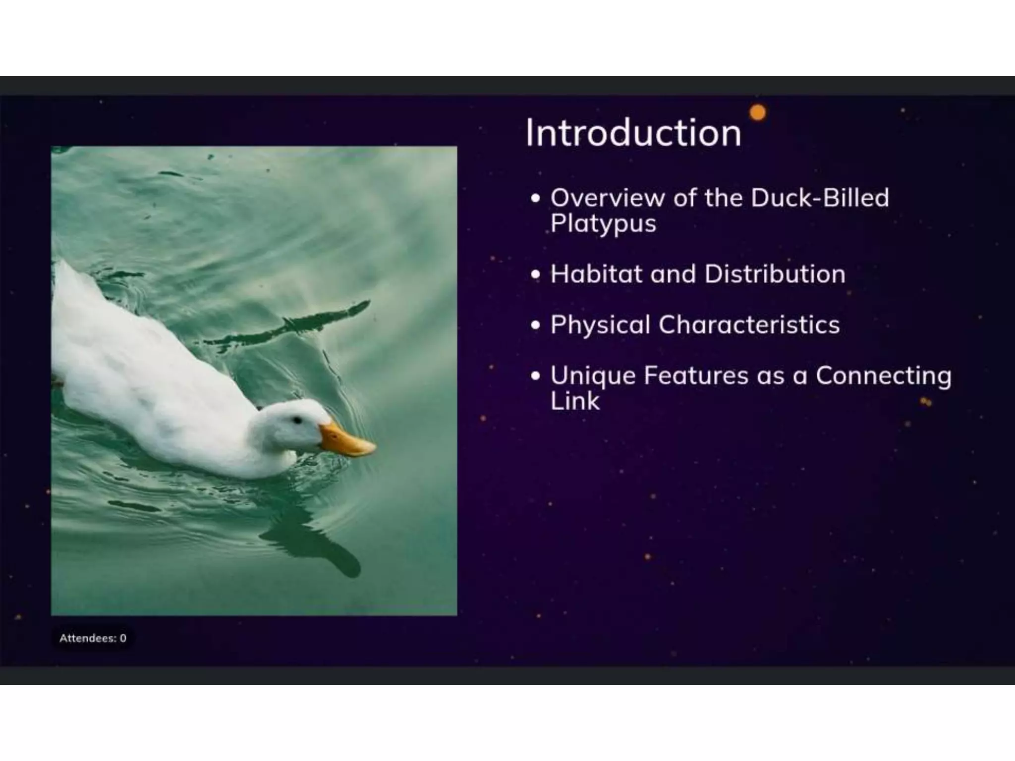 Share_Duck_billed_platypus.pptx