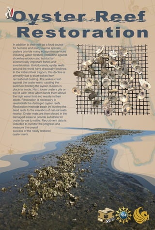 OysterPoster-27x40-TextRevised | PDF