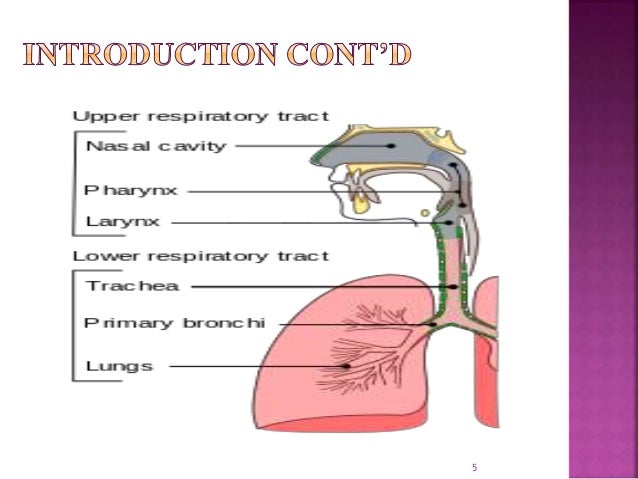 Diagnosis of Upper and Lower Respiratory Tract Infections