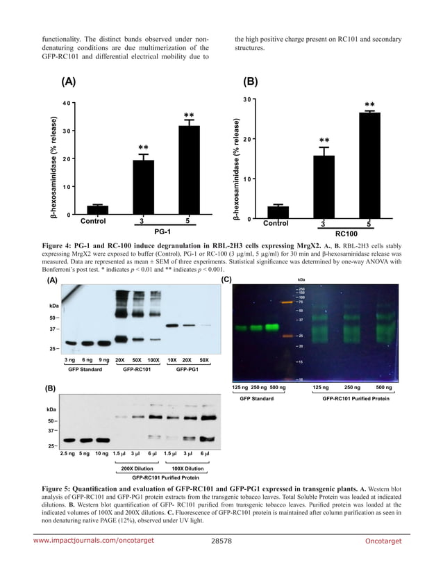 Oncotarget Paper | PDF
