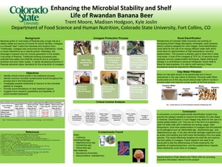 Enhancing the Microbial Stability and Shelf Life of Rwandan Banana beer ...