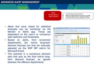 IBP Implementation Analysis | PPTX