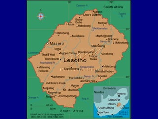 JHSPH Capstone Presentation_McKinney_050107_Final_c | PPT