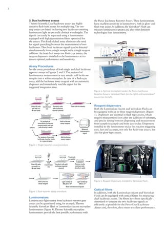 Versatile Luciferases for Reporter Assays | PDF