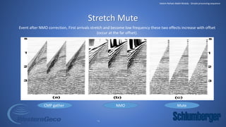 WesternGeco presentation - Seismic Data Processing | PDF