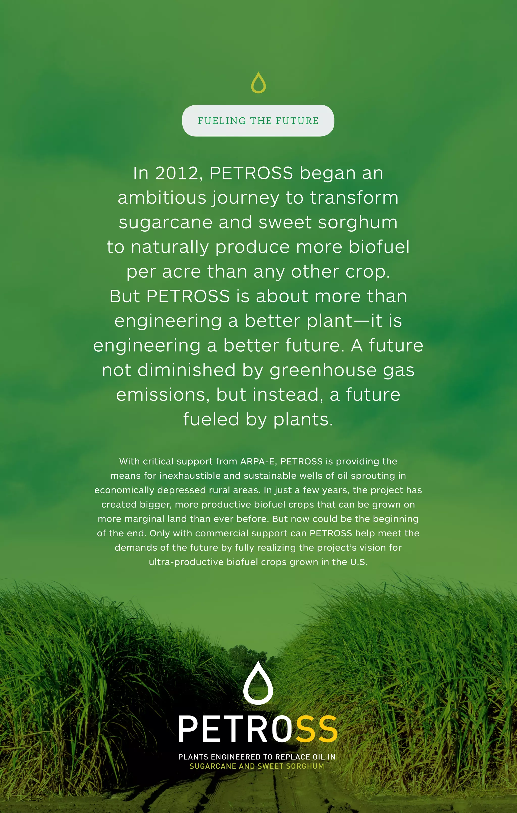Petross_Brochure_022216 | PDF