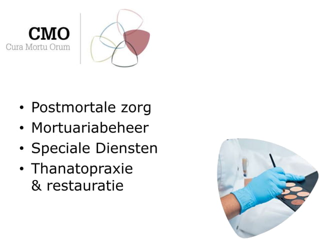 CMO presentatie | PPTX