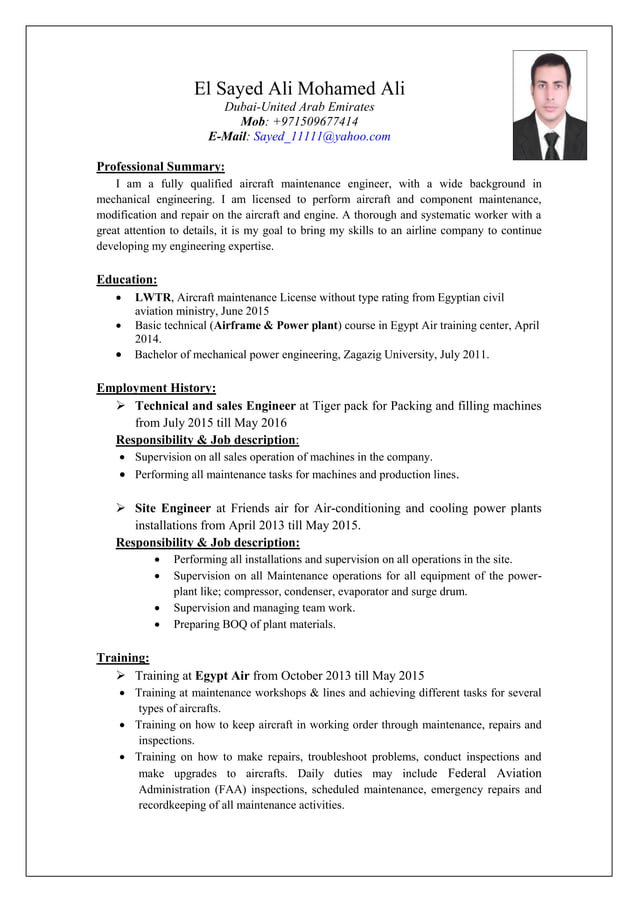 Aircraft engineer CV | PDF
