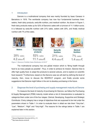 ReportFinal-Danone | PDF