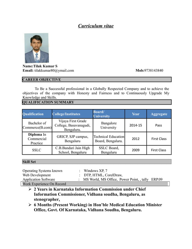 Resumes (3) | DOC | Technology & Computing