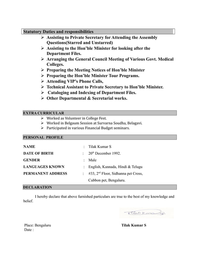 Resumes (3) | DOC | Technology & Computing