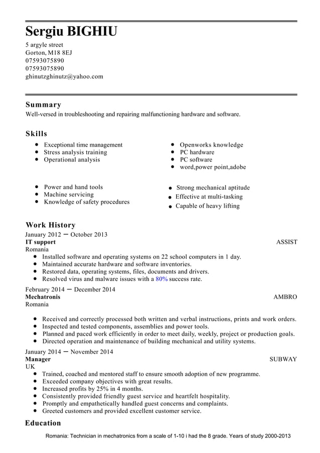 Sergiu Bighiu CV 1 | PDF