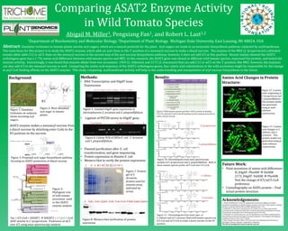 Poster Presentation | PPT