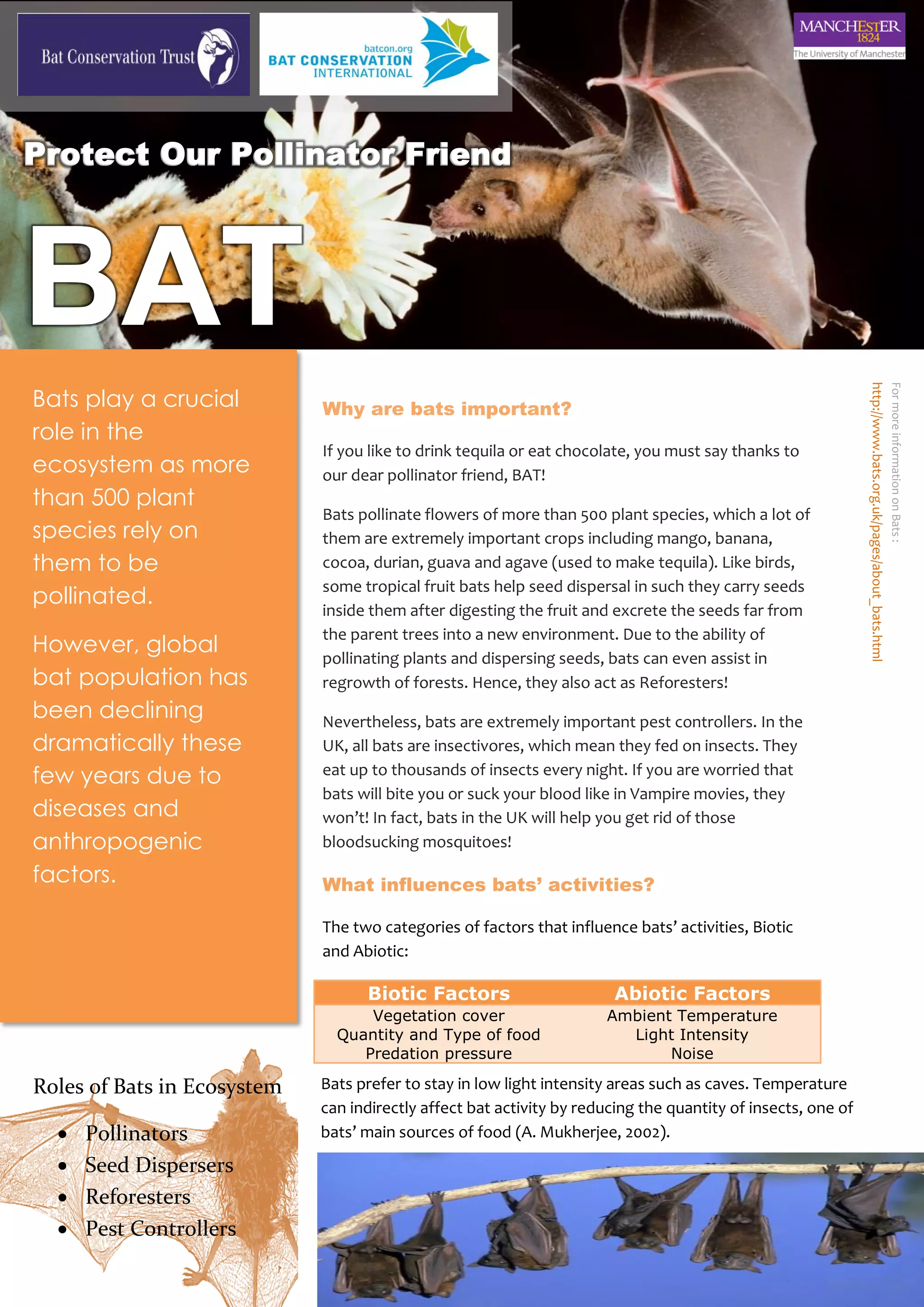 (9499338)BatFactSheet | PDF