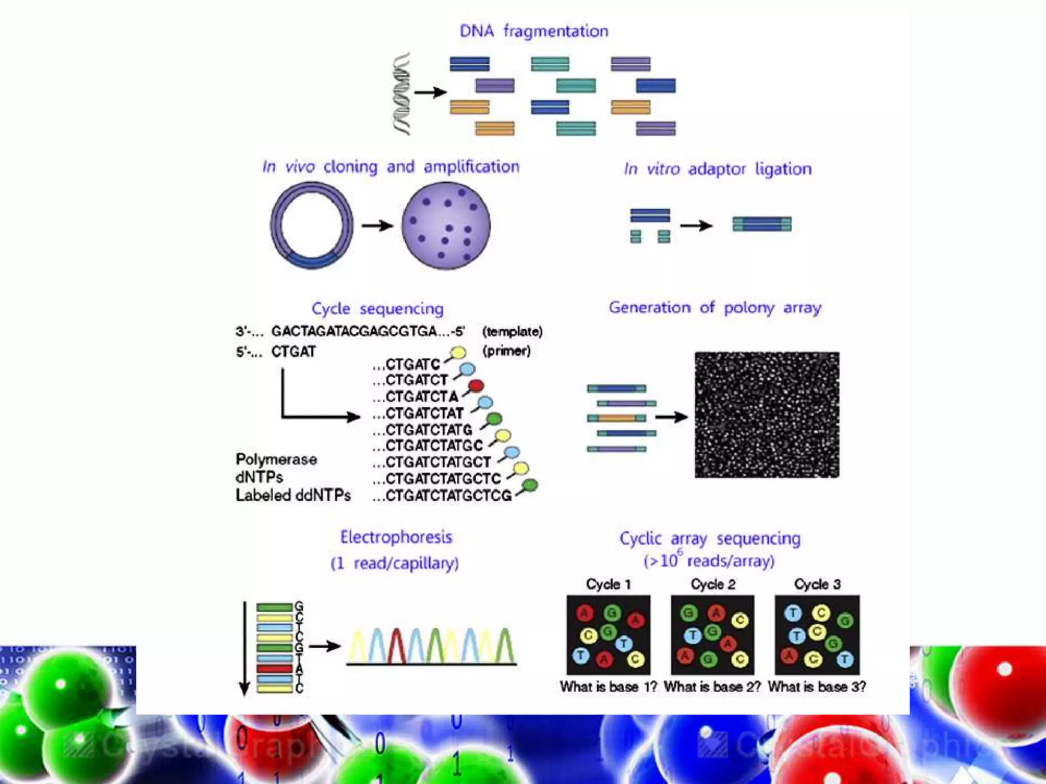 Transcriptomics | PPTX