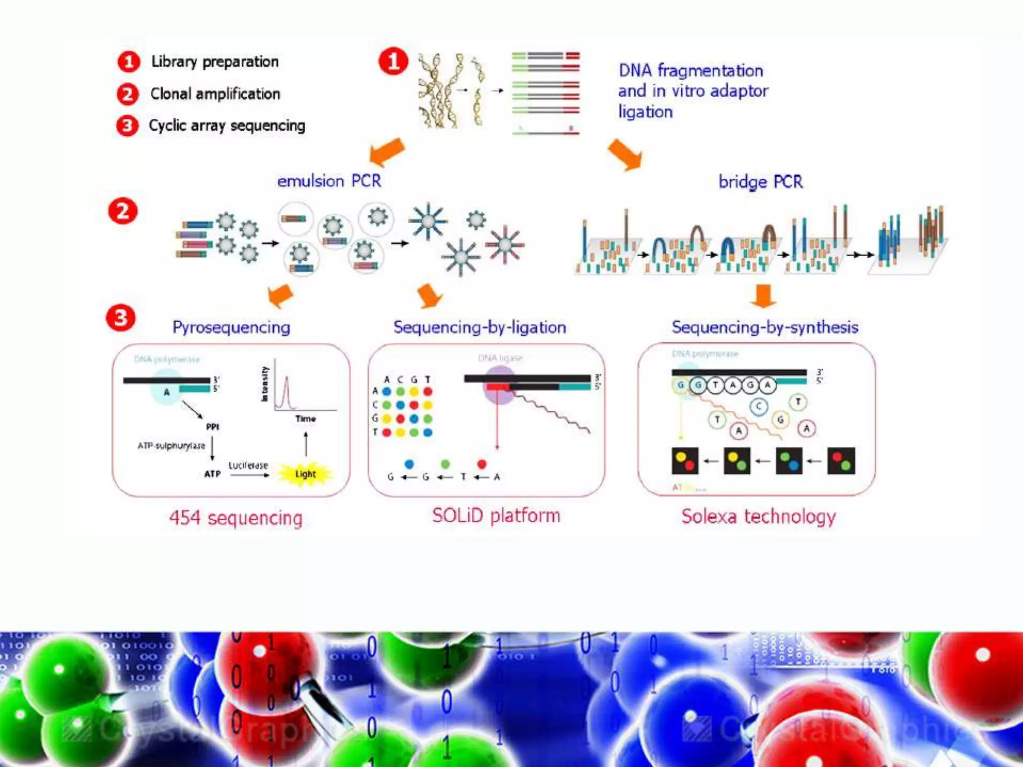 Transcriptomics | PPTX