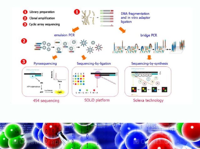 Transcriptomics | PPTX
