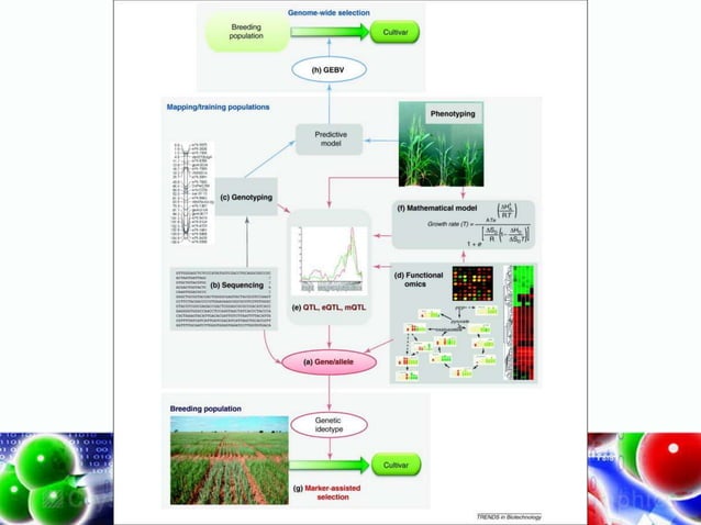 Transcriptomics | PPTX