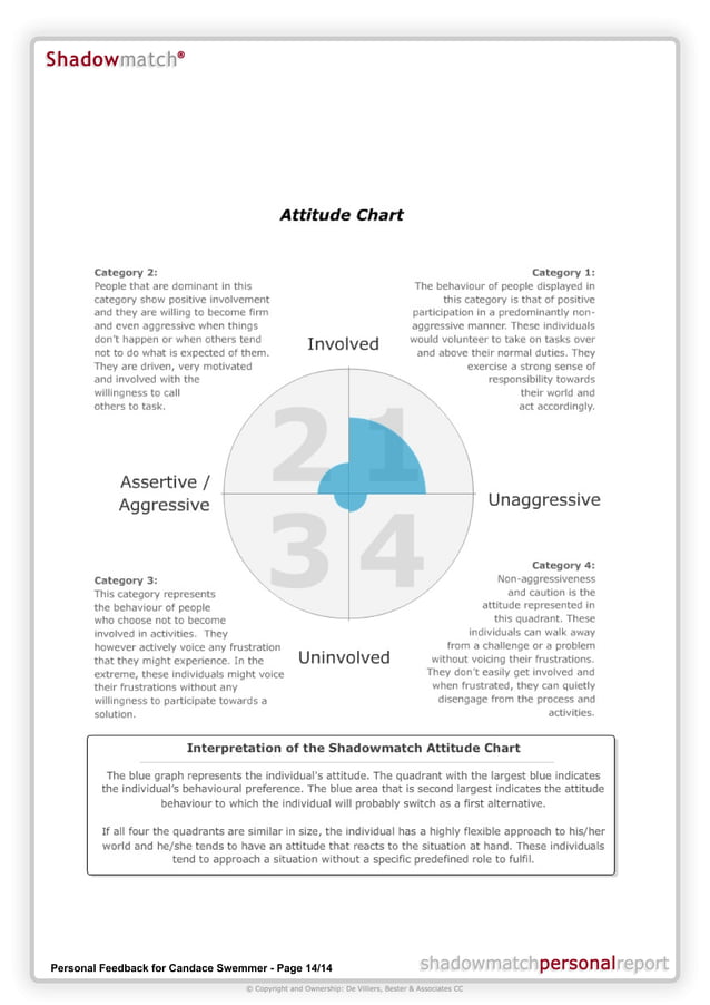 full_report_candace_swemmer | PDF