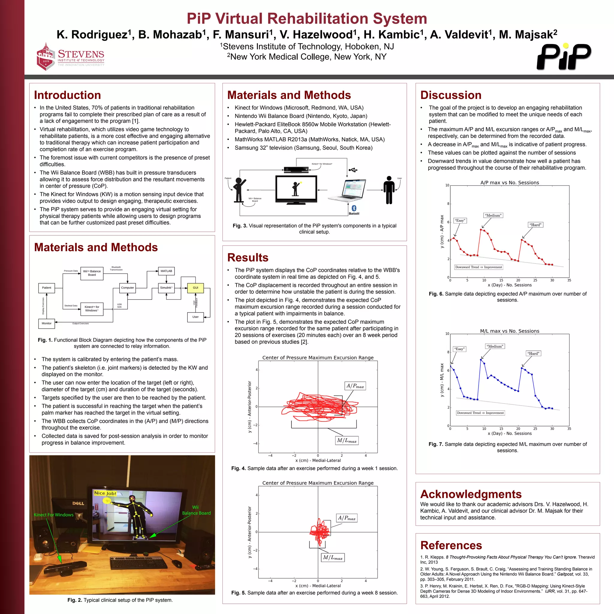 PiP Poster PDF | PDF