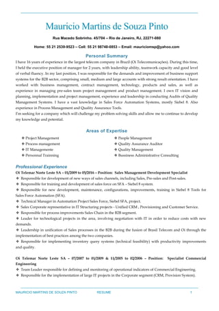 Mauricio CV English 2 | PDF