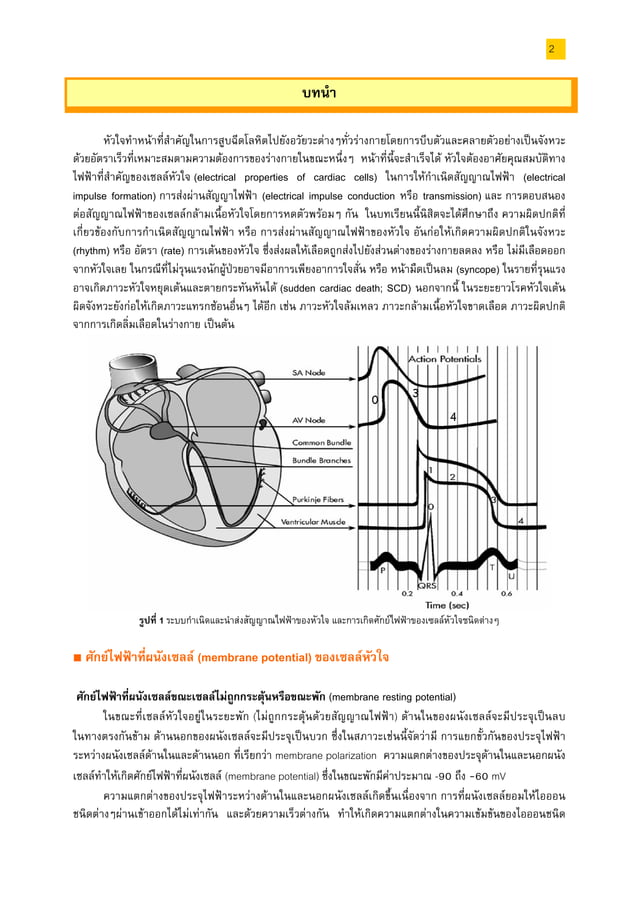 E831 b handout_pharmacotherapeutics_arh_50 | PDF