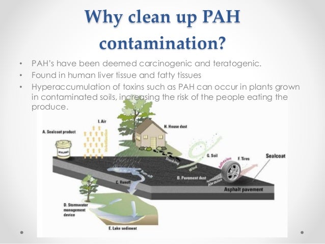 current final envs ppt