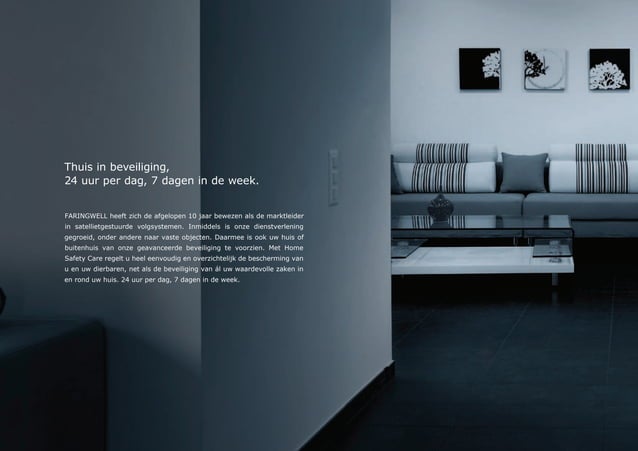 FARINGWELL Home Safety Care Borchure | PPT