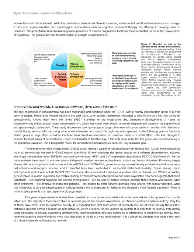 Assignment - Against the Dopamine Hypothesis of Schizophrenia | PDF