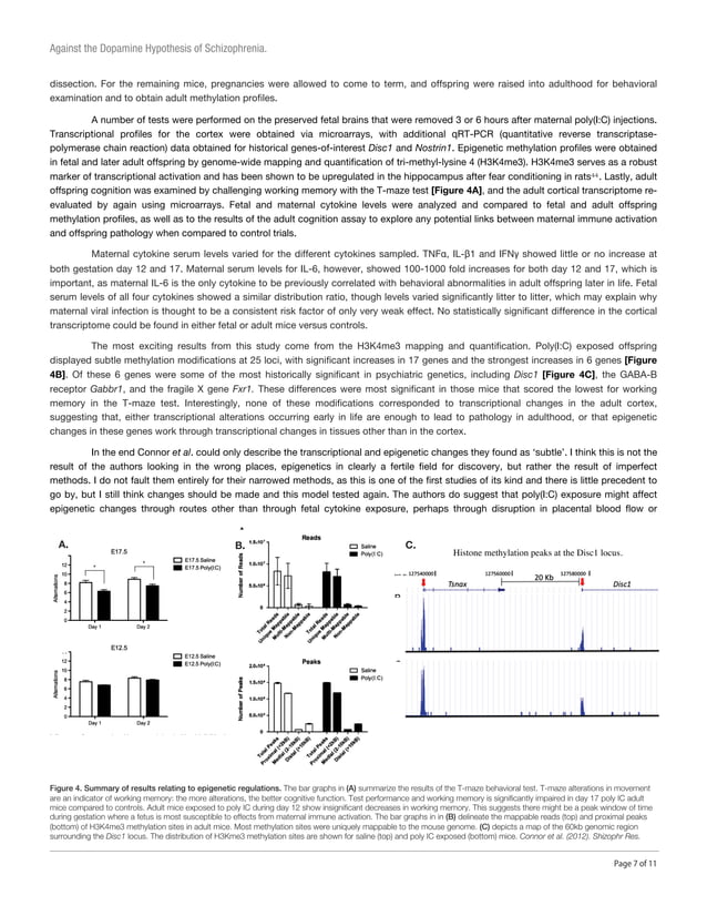 Assignment - Against the Dopamine Hypothesis of Schizophrenia | PDF