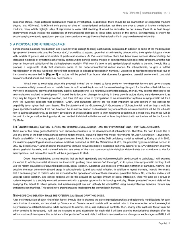 Assignment - Against the Dopamine Hypothesis of Schizophrenia | PDF