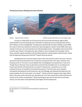 Deepwater Horizon Oil Spill-signed | PDF
