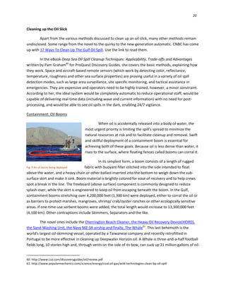 Deepwater Horizon Oil Spill-signed | PDF