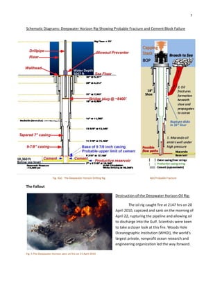 Deepwater Horizon Oil Spill-signed | PDF