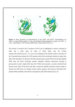 Biochemical characterization of LOV domain proteins from protist-SK | PDF