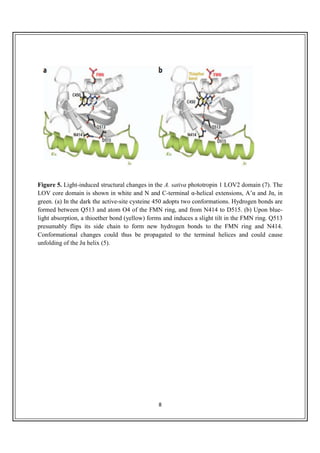 Biochemical characterization of LOV domain proteins from protist-SK | PDF