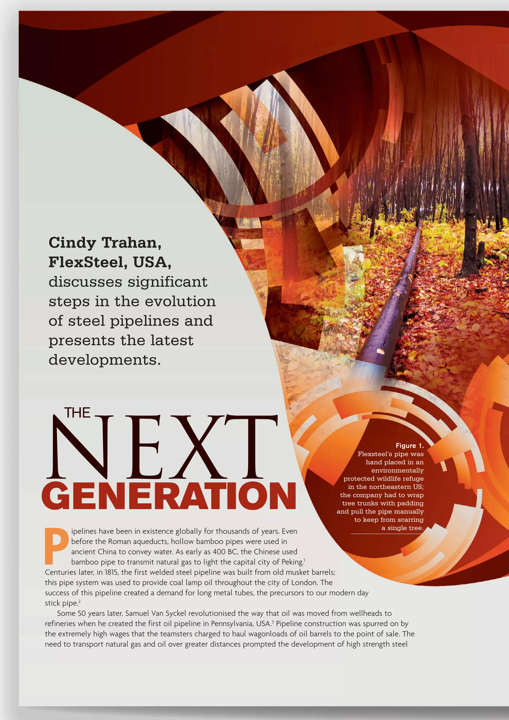 Flexsteel - The Next Generation | PDF
