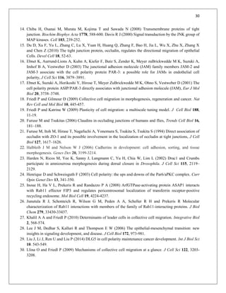 IAS Final Report | PDF