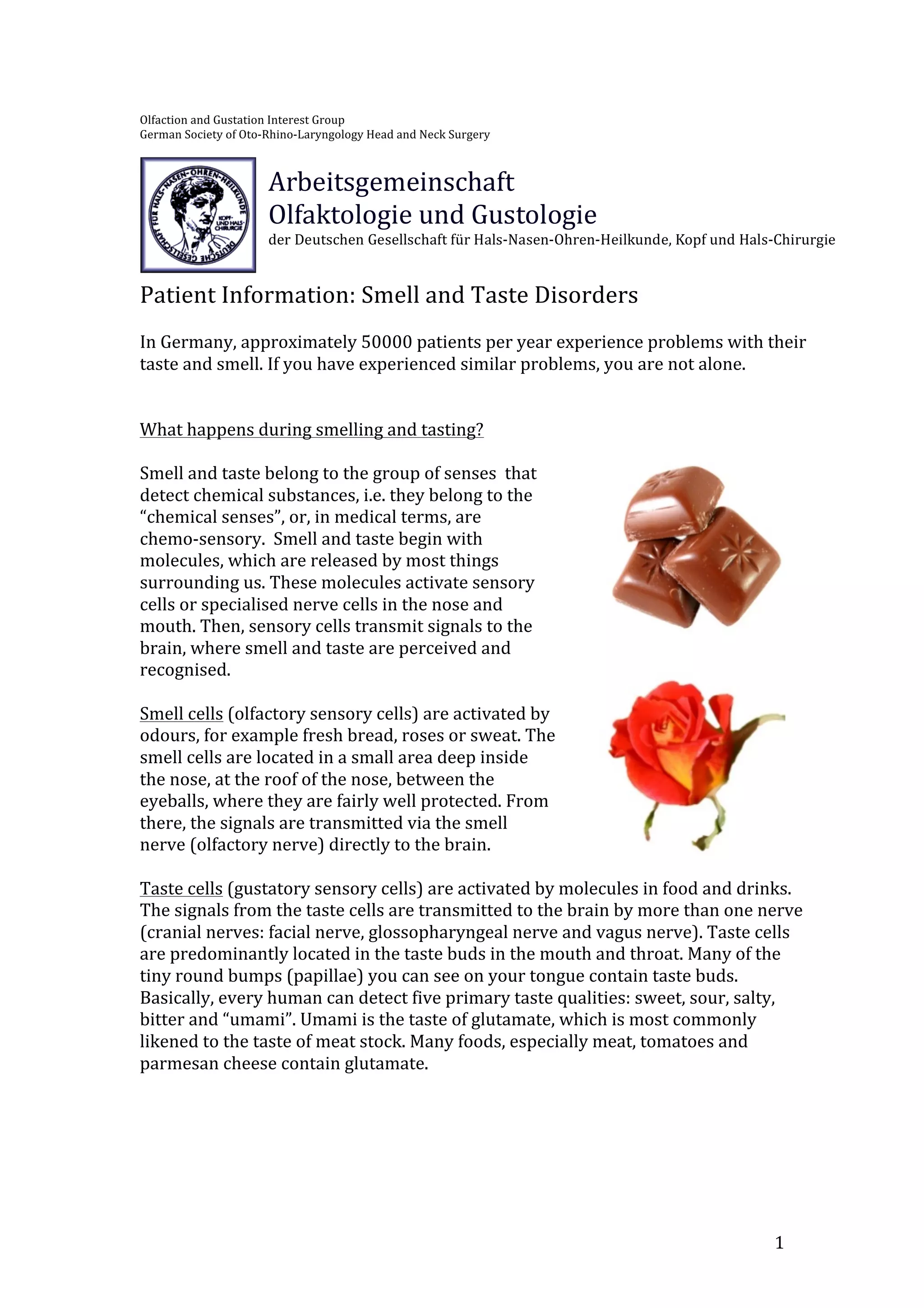 Taste_and_Smell_Disorders-Translation | PDF | Ear, Nose and Throat ...